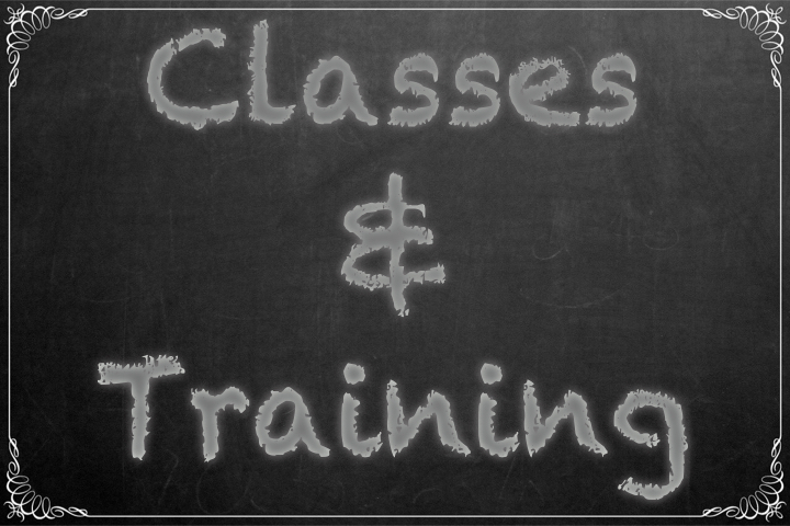 classes and training – Ricochet Range